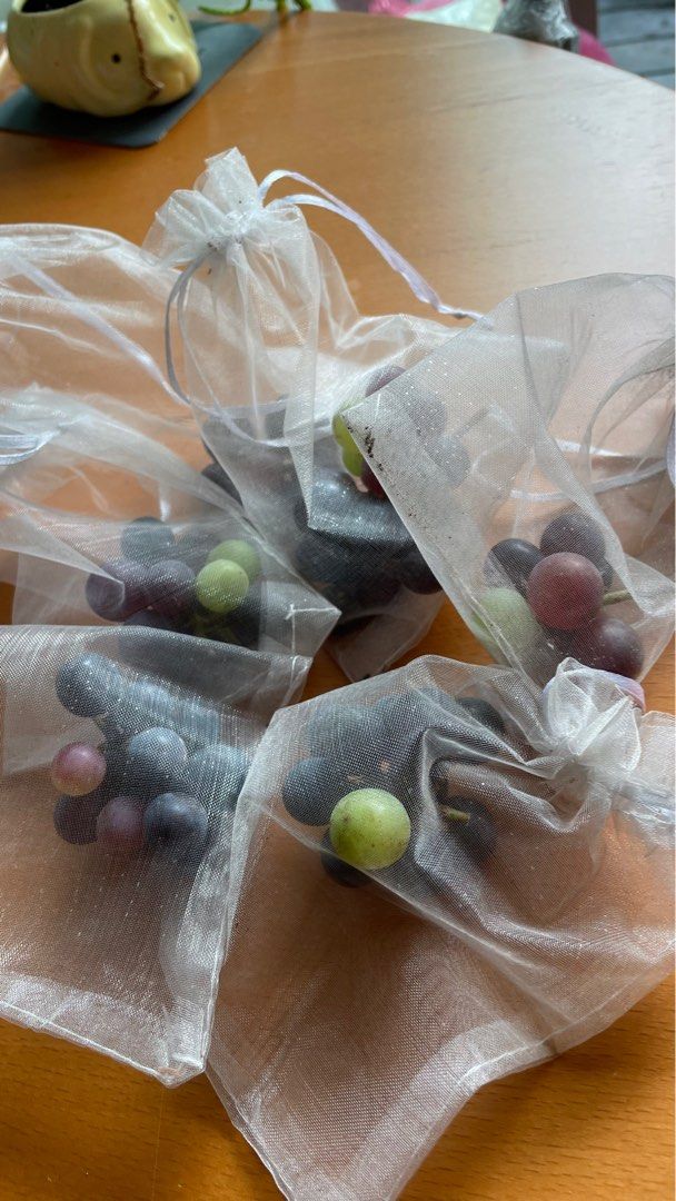 Red Isabella Grape vines from saplings to matured 10+ft vines ...