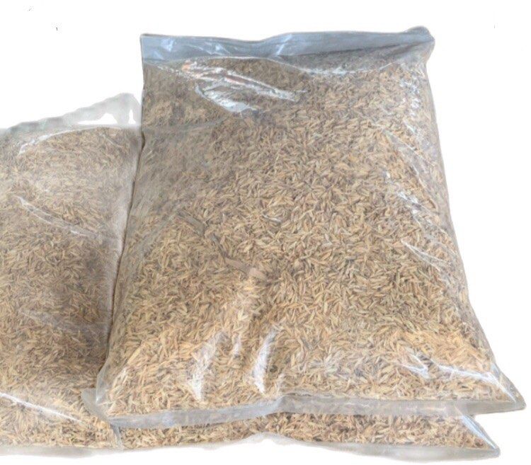 Rice Husks for Plants, Furniture & Home Living, Gardening, Garden Soil ...