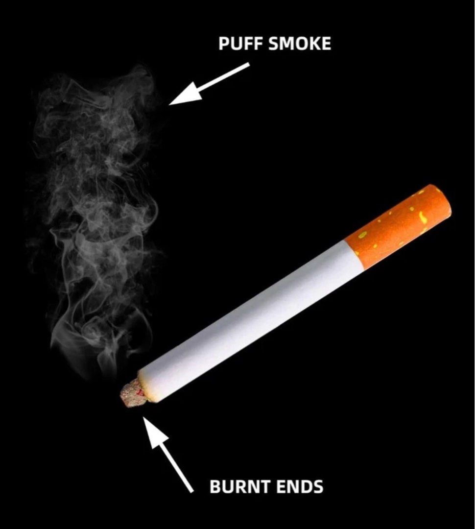 SHEIN FAKE PUFF CIGAR: 6 pcs realistic cigarettes with fake puff smoke ...