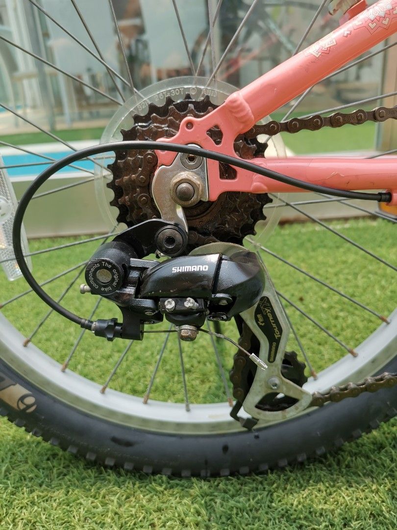 Trek Kids 20 inch Bike MT60, Children Bicycle 20", Sports Equipment ...