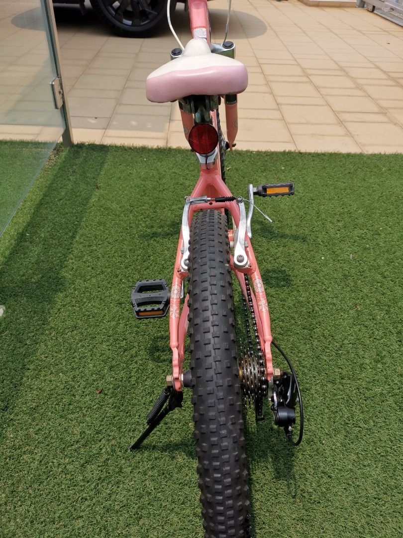 Trek Kids 20 inch Bike MT60, Children Bicycle 20", Sports Equipment ...