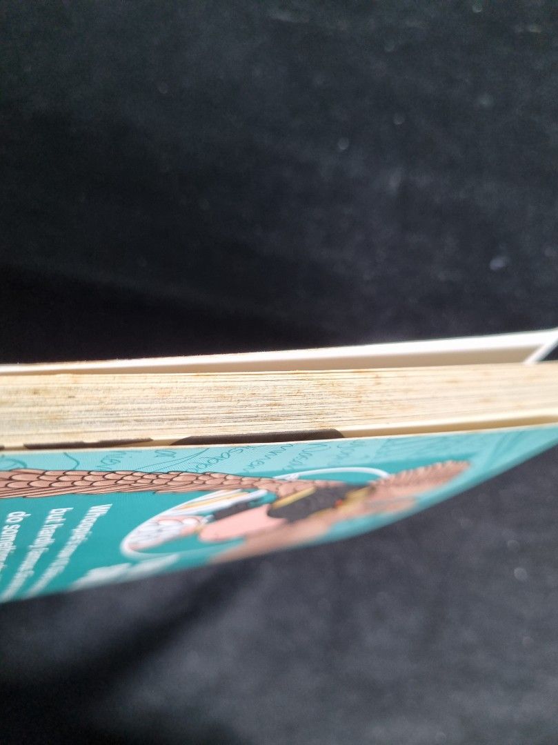 WhoopieLee The Big Spell Off by Adeline Foo Illustrated by Stephanie ...