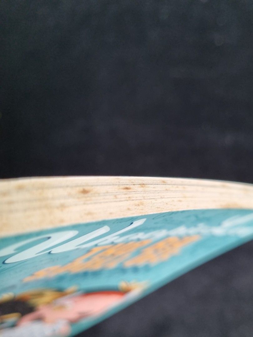 WhoopieLee The Big Spell Off by Adeline Foo Illustrated by Stephanie ...