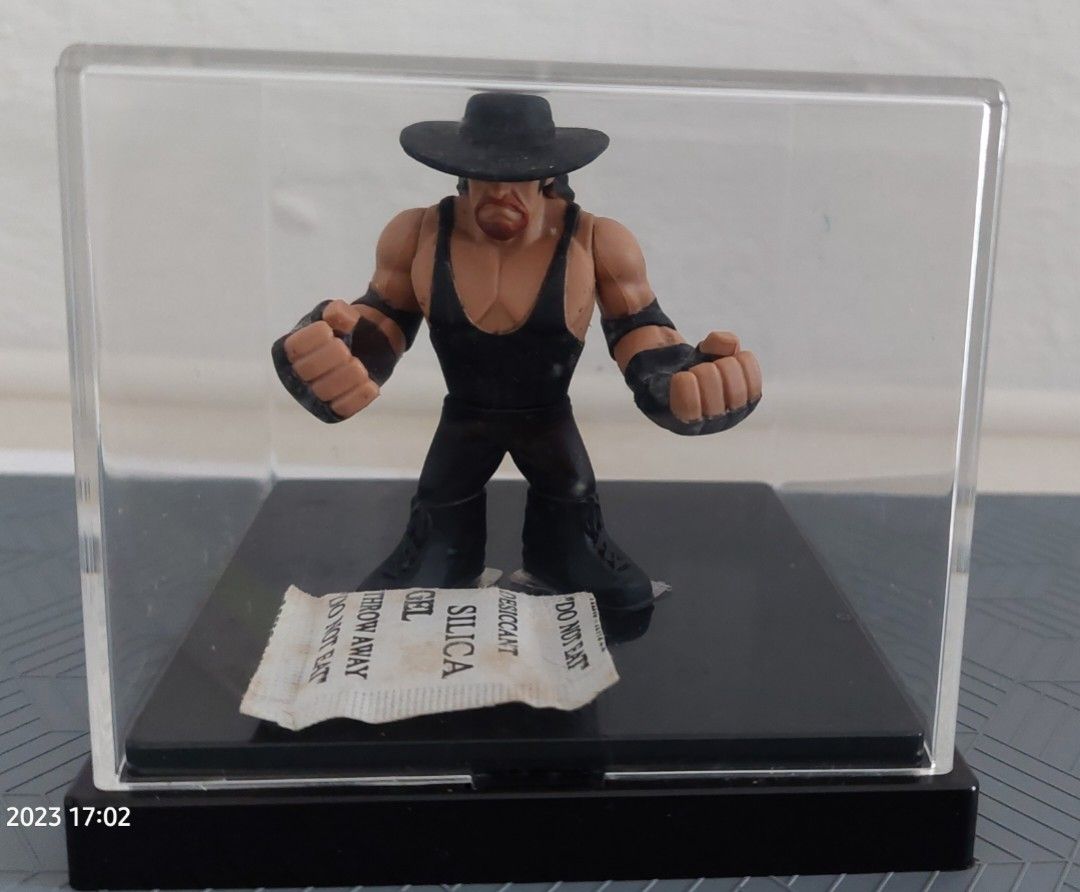 WWE Rumblers Mini Action Figure - The Undertaker, Hobbies & Toys ...