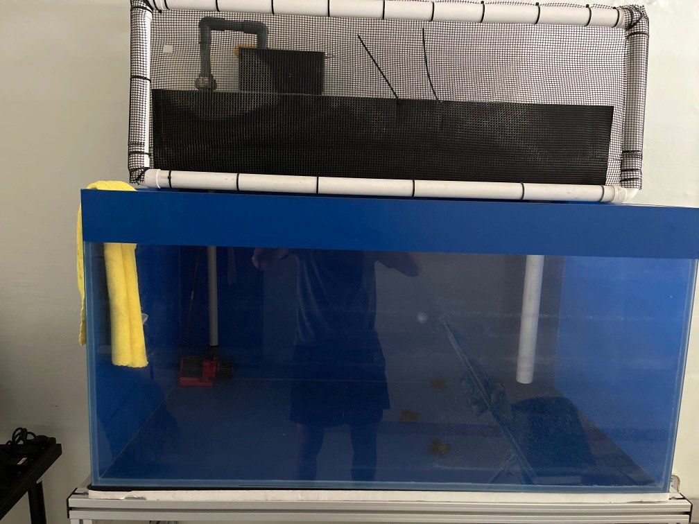 422 fish tank with overhead sump and biomedia, Pet Supplies, Homes ...