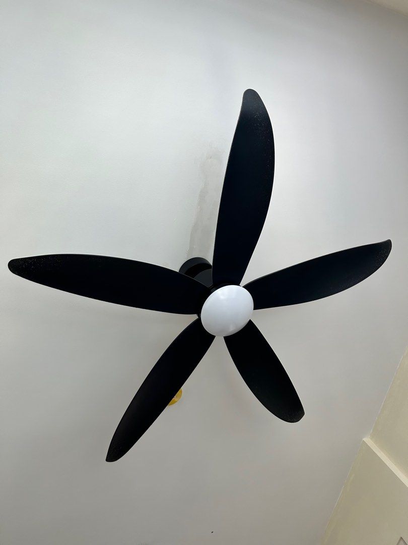 Celing fan 5 blades, Furniture & Home Living, Lighting & Fans, Fans on ...