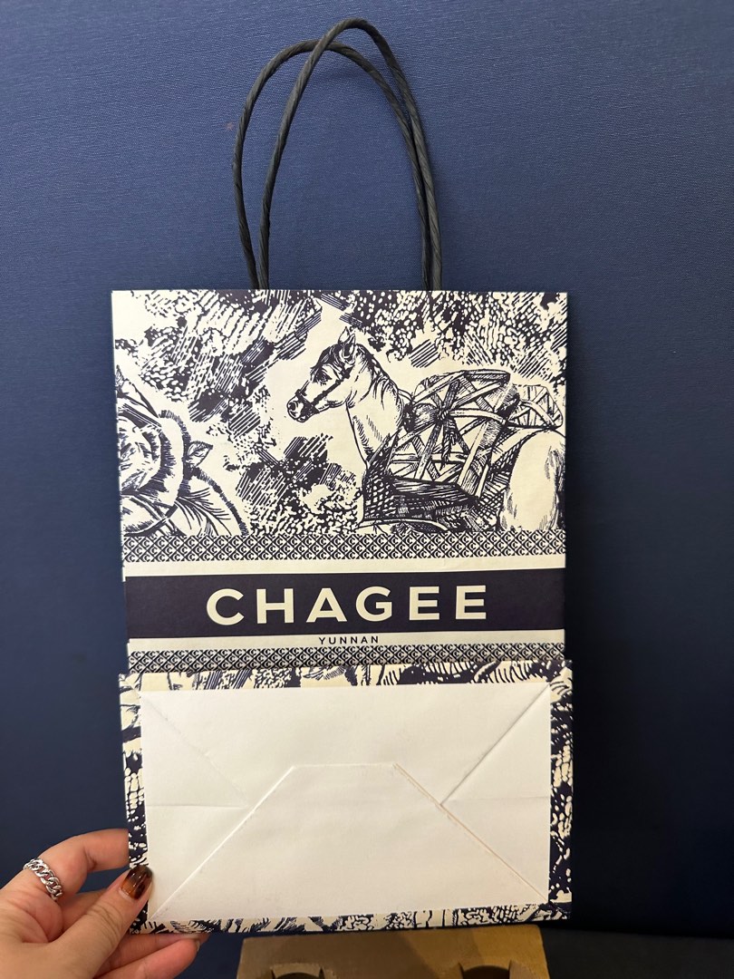 Chagee Dior Inspired Paper Bag, Hobbies & Toys, Stationery & Craft ...