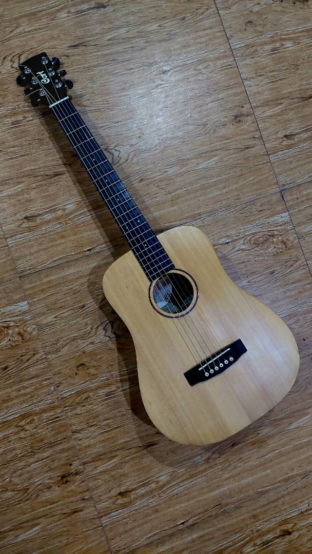 Cort Earth Mini F 3/4 Acoustic Guitar With Fishman Sonitone Pickup and ...