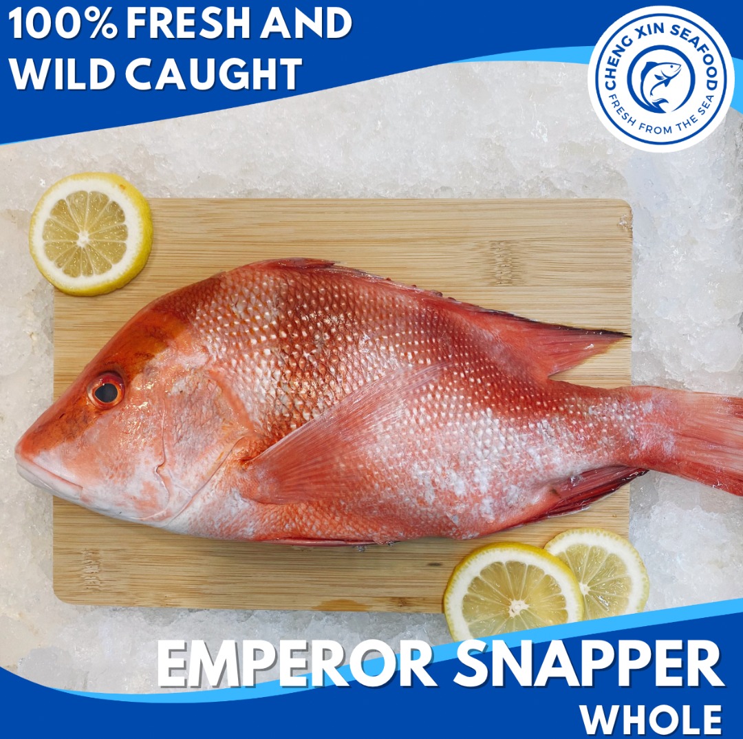 Fresh Emperor Snapper (Singa/Lionhead Red Snapper), Food & Drinks ...