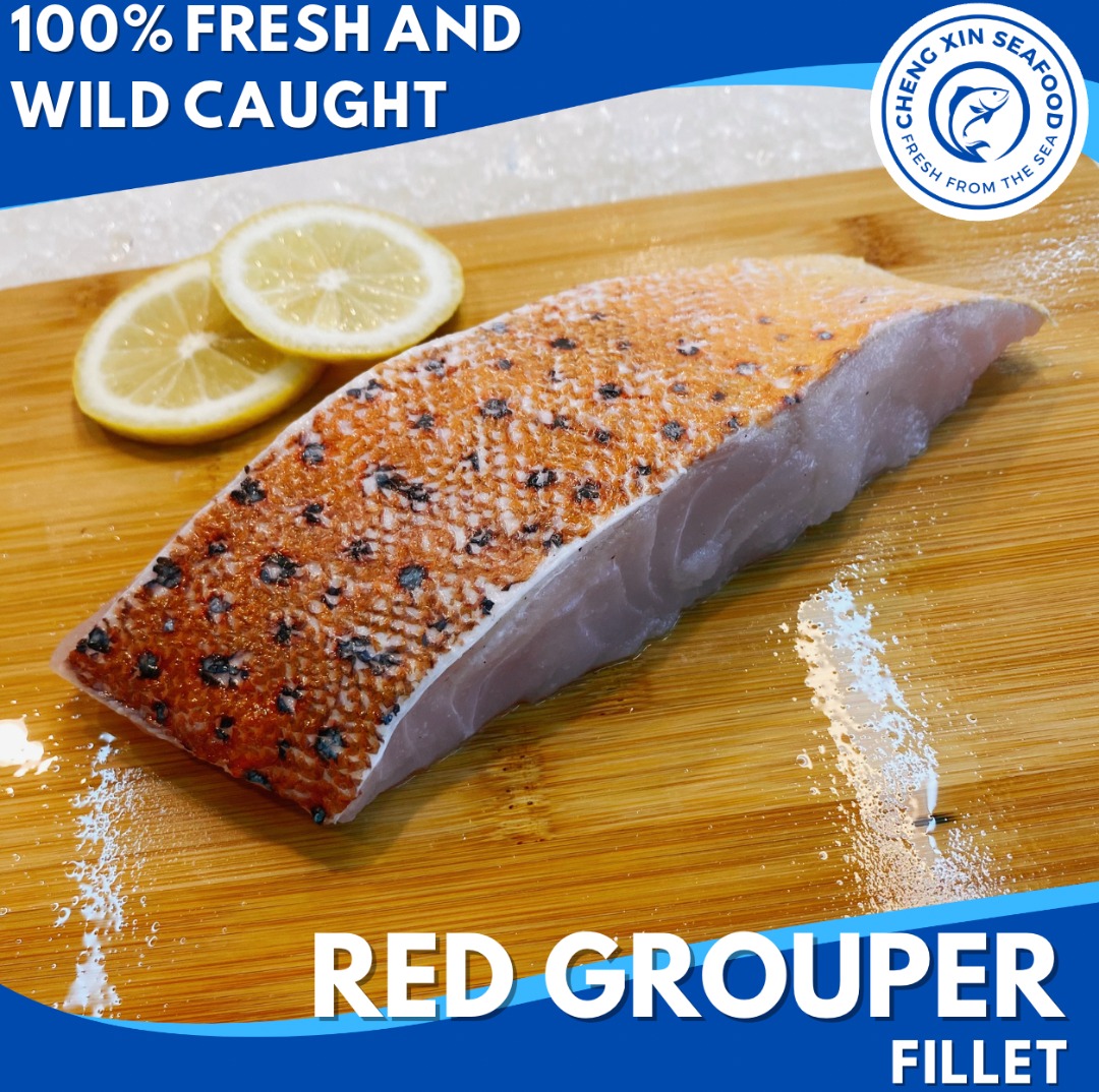 Fresh Red Grouper Fillet, Food & Drinks, Chilled & Frozen Food on Carousell