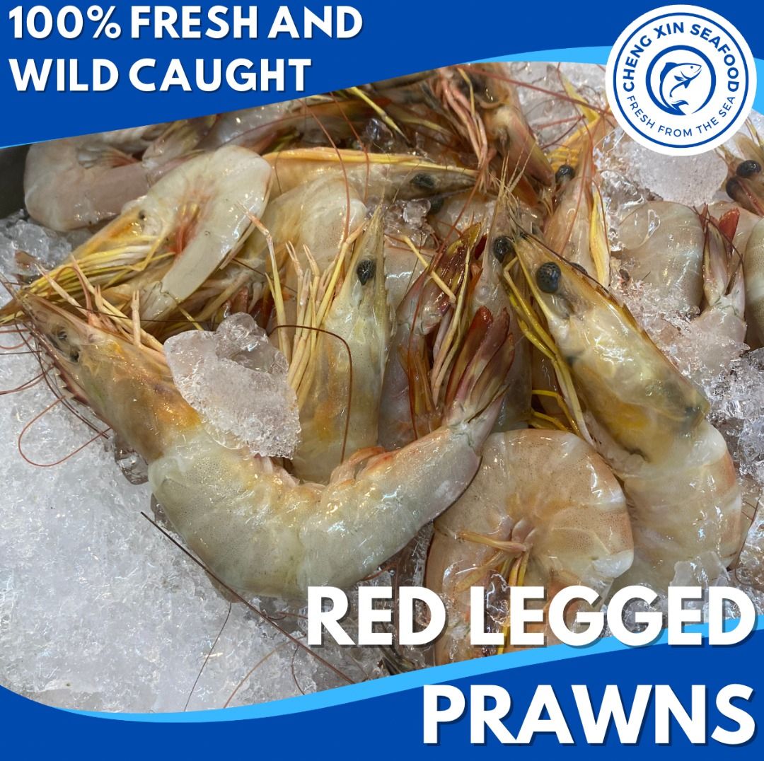 Fresh Red Legged Ang Kar Prawns 500g, Food & Drinks, Chilled & Frozen ...