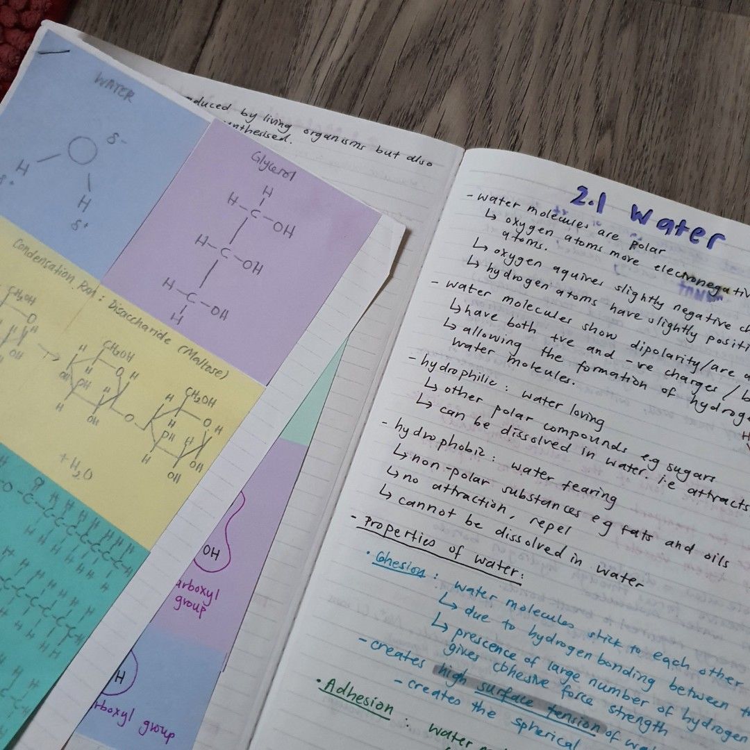 IB Biology SL Notes Flashcards ALL Unit Summaries Quizlet Google Drive ...