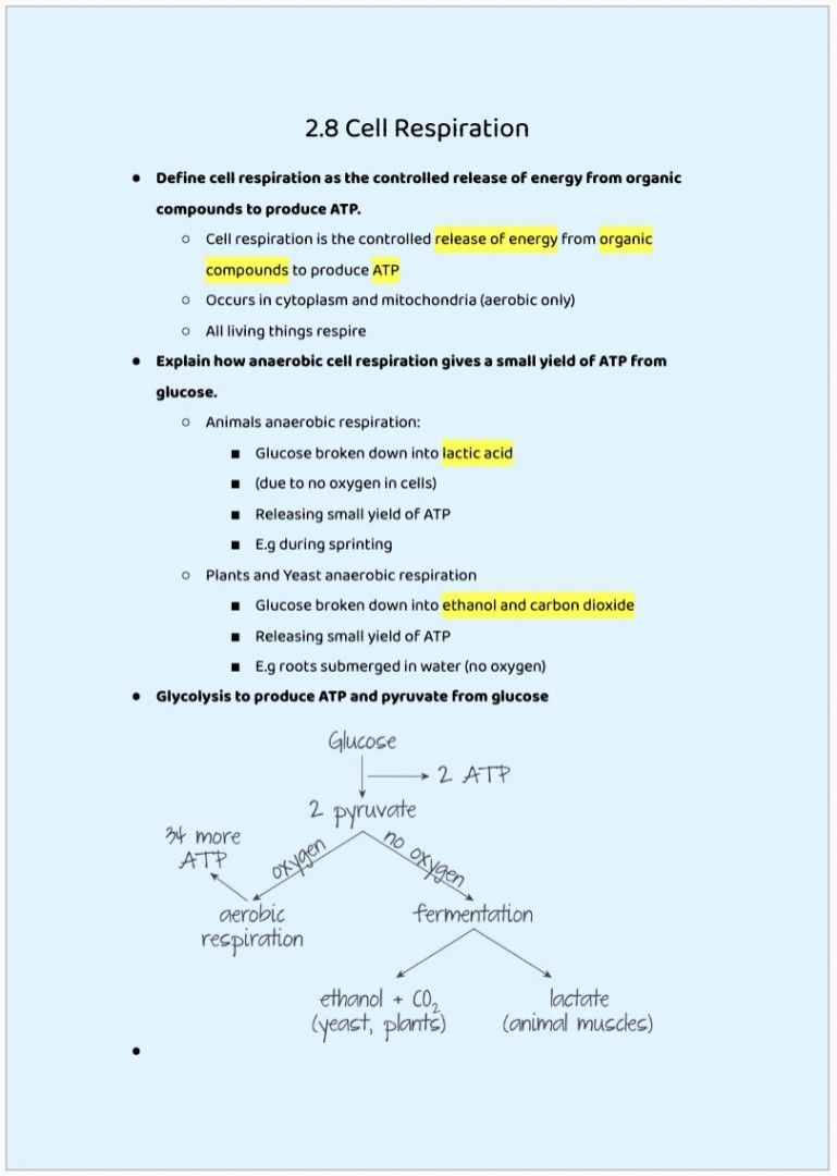 IB Biology SL Notes Flashcards ALL Unit Summaries Quizlet Google Drive ...