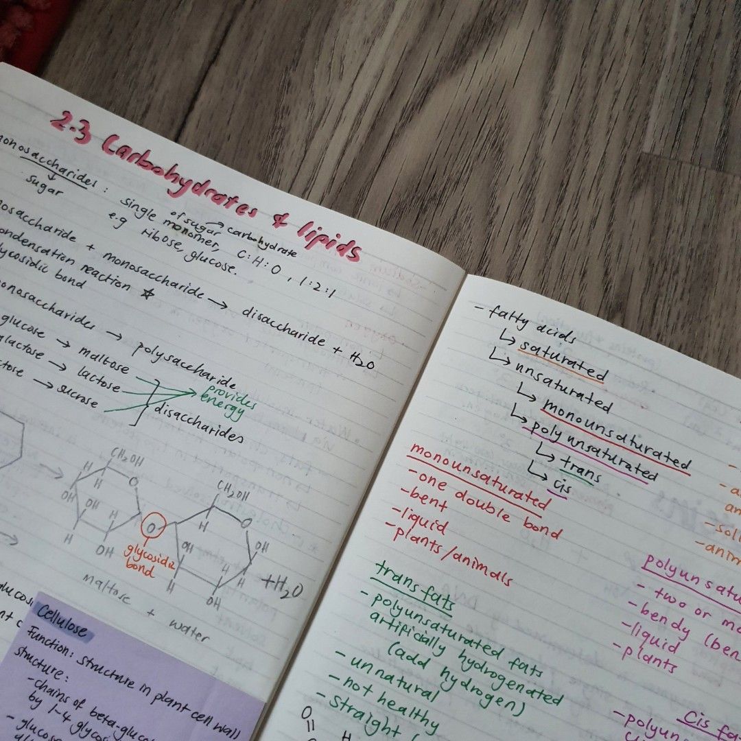 IB Biology SL Notes Flashcards ALL Unit Summaries Quizlet Google Drive ...