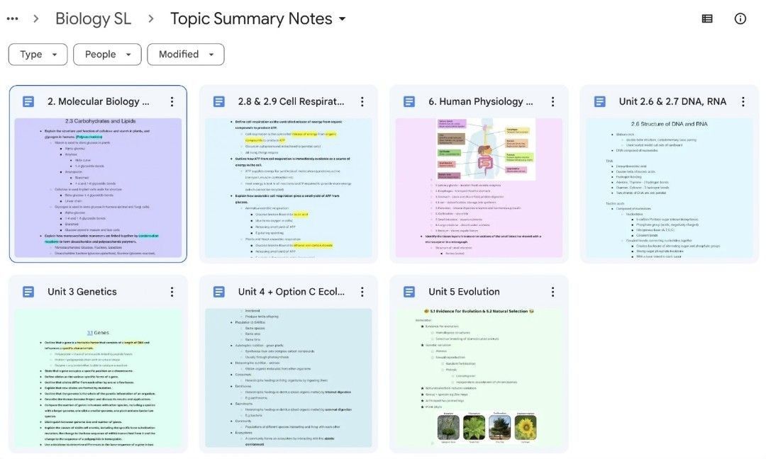 IB Biology SL Notes Flashcards ALL Unit Summaries Quizlet Google Drive ...