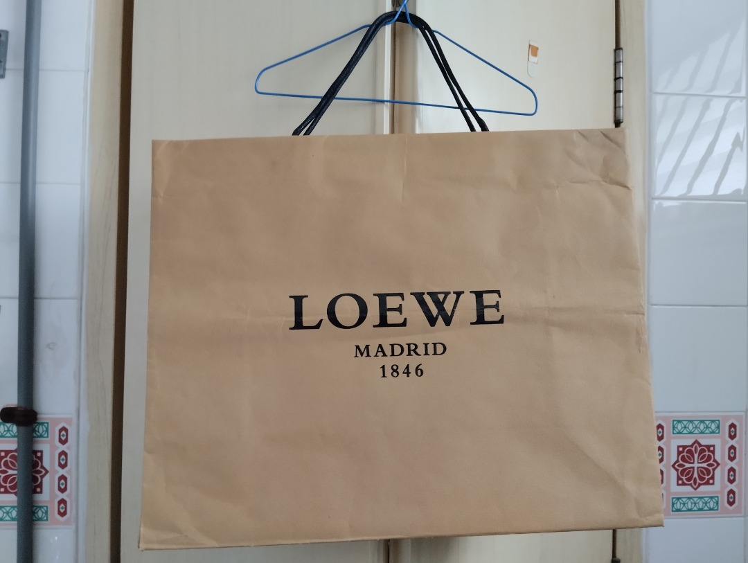 Large Loewe Paper bag, Hobbies & Toys, Travel, Travel Essentials ...
