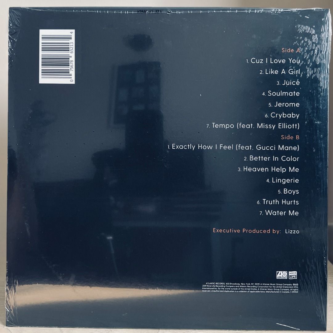 [LP, New] Lizzo - Cuz I Love You LP, Hobbies & Toys, Music & Media ...