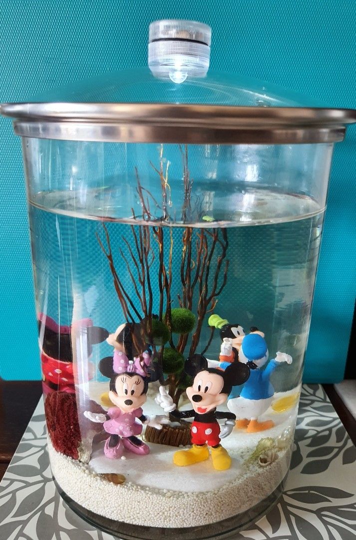 Opae Ula Home setup, Pet Supplies, Homes & Other Pet Accessories on Carousell