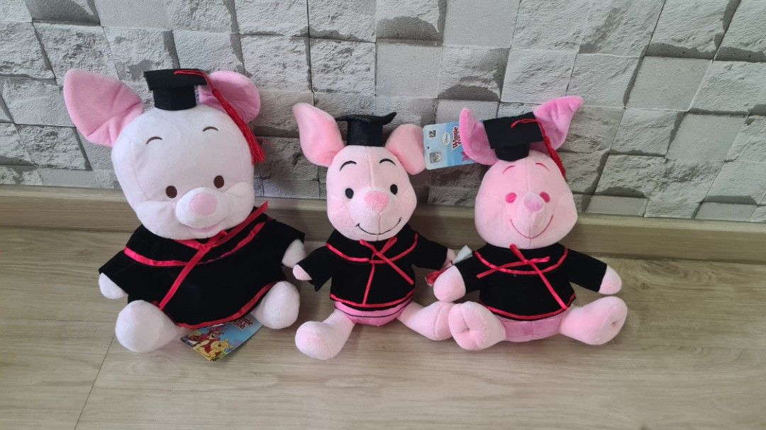piglet graduation plushie, Hobbies & Toys, Toys & Games on Carousell