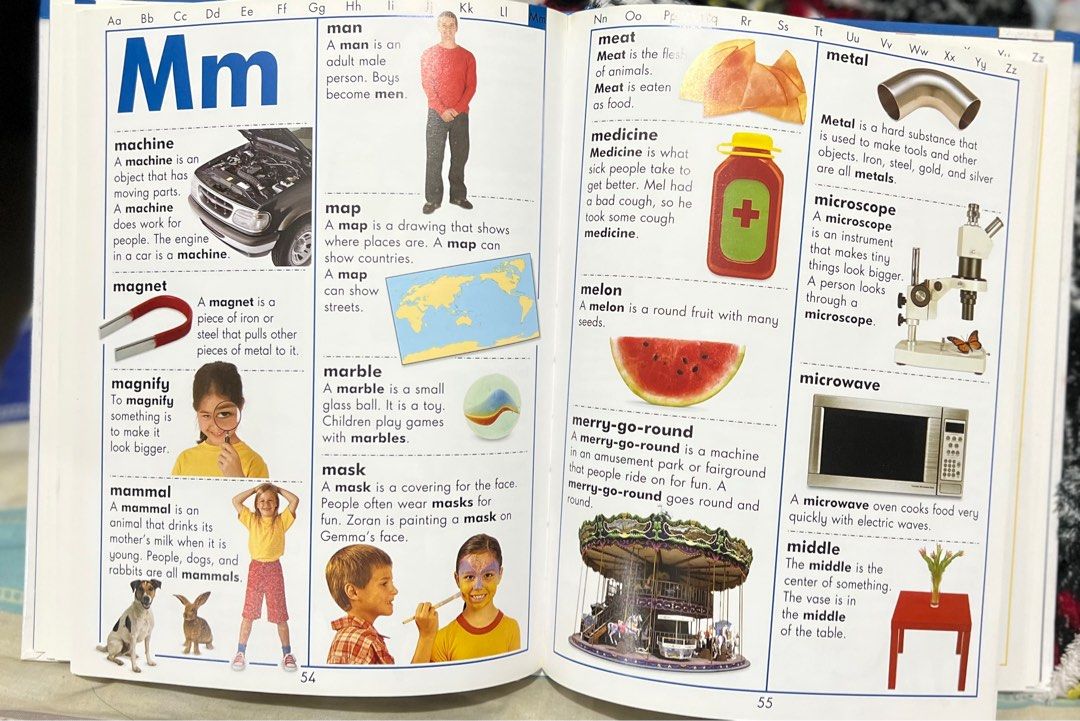 Pre-loved Hardbound My First Picture Dictionary, Hobbies & Toys, Books ...