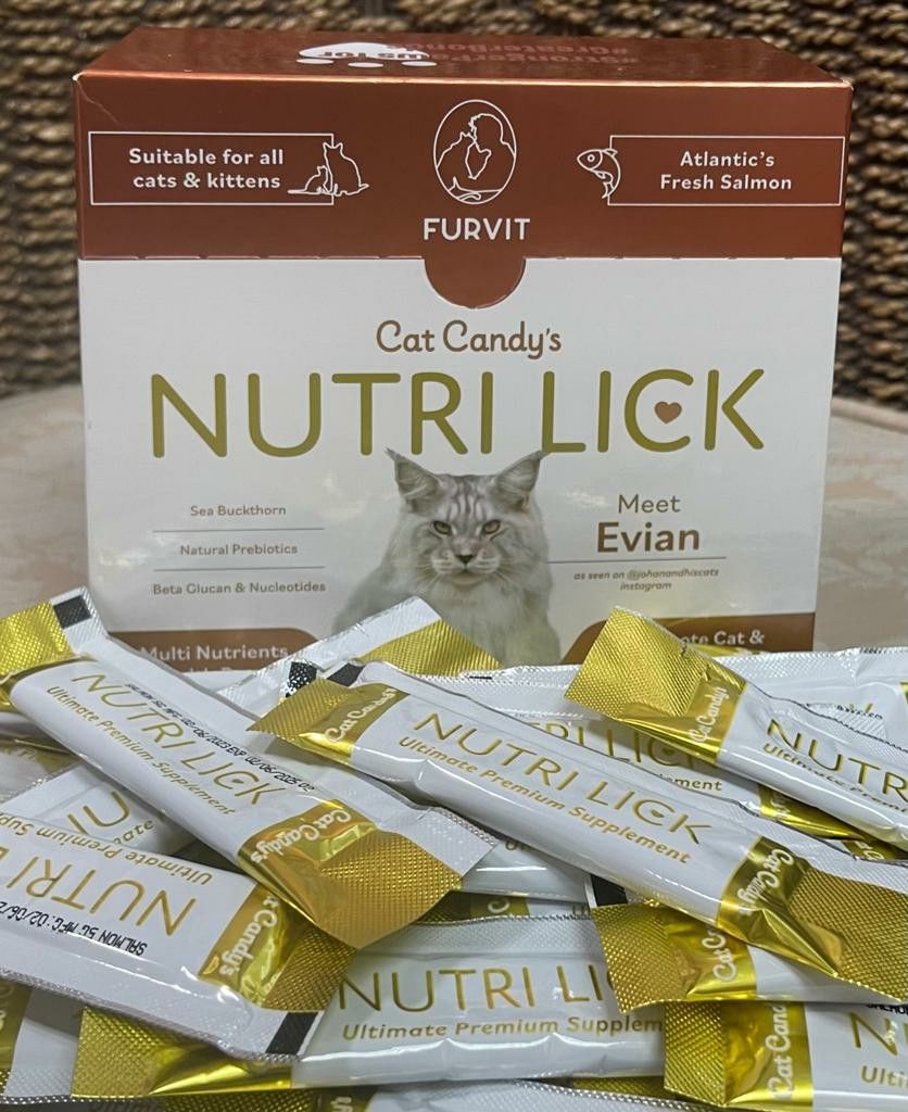 Salmom FLavor - NutriLick All in 1 Cat Supplement - 1 Box, Pet Supplies ...