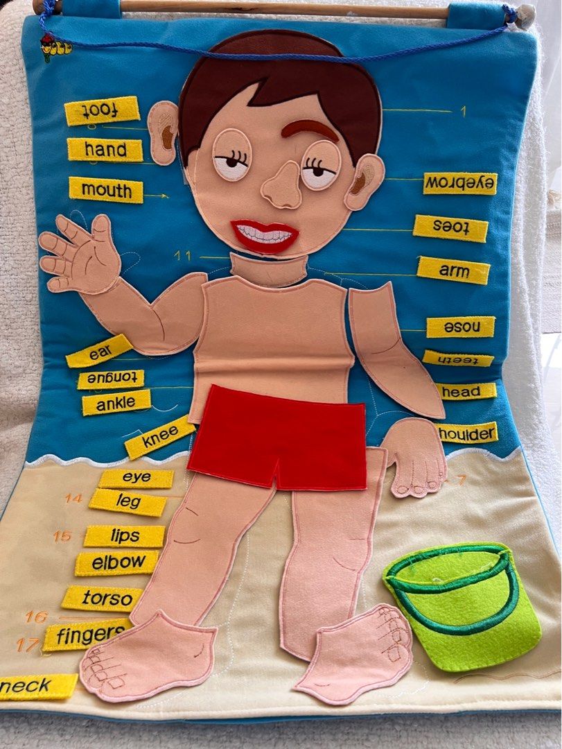 Visual Velcro Learning Posters Children Teacher lion toy, Hobbies ...