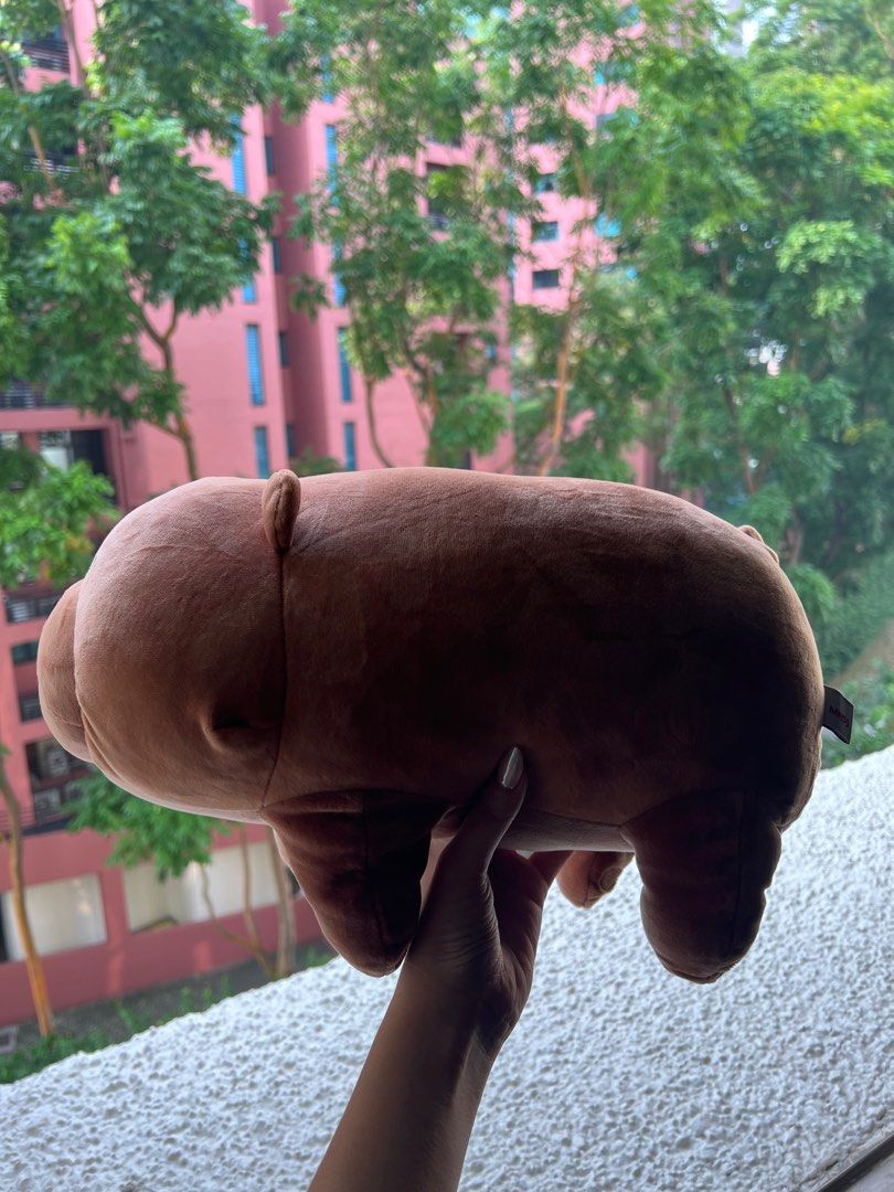 We Bare Bears - Grizz / Grizzly Bear - Miniso, Hobbies & Toys, Toys ...