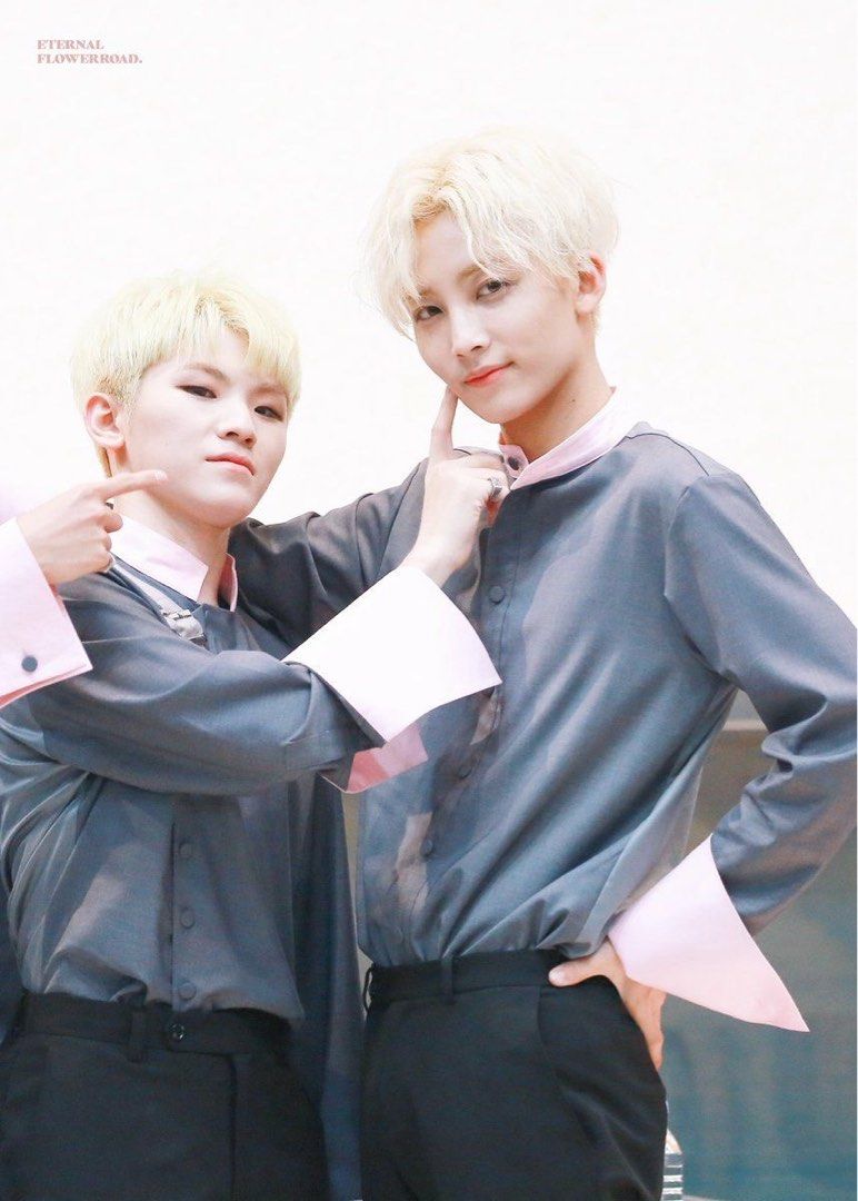 wts jeonghan and woozi woozi fixed sharing, Hobbies & Toys, Memorabilia & Collectibles, K-Wave ...