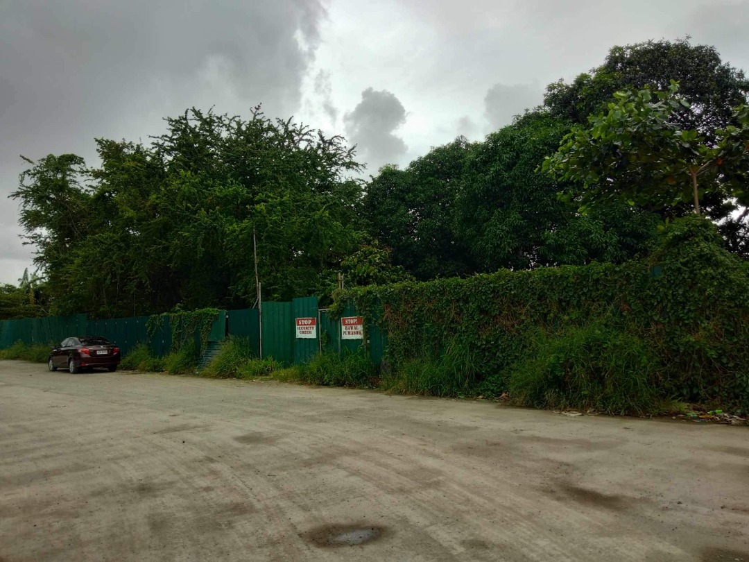 2,598 Sqm - Lot for Sale in C5 Extension, San Dionisio, Paranaque City ...