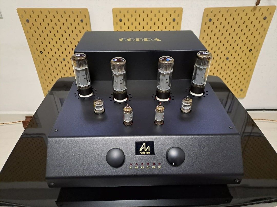 Audio note audionote integrated amplifier build in dac local set, Audio ...