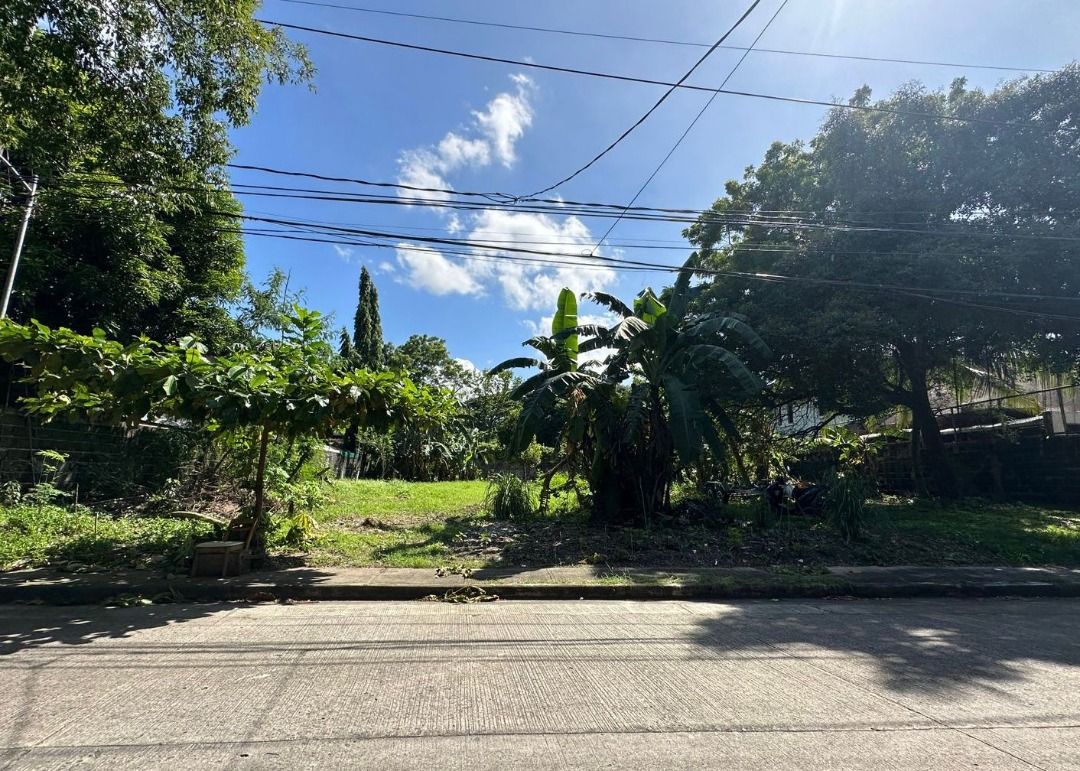 Ayala Alabang Village | Residential Lot For Sale - #5775, Property, For ...
