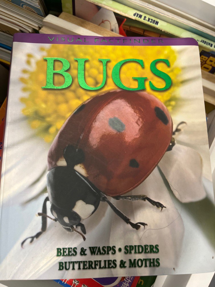 Colorful world of Bugs, Hobbies & Toys, Books & Magazines, Children's ...