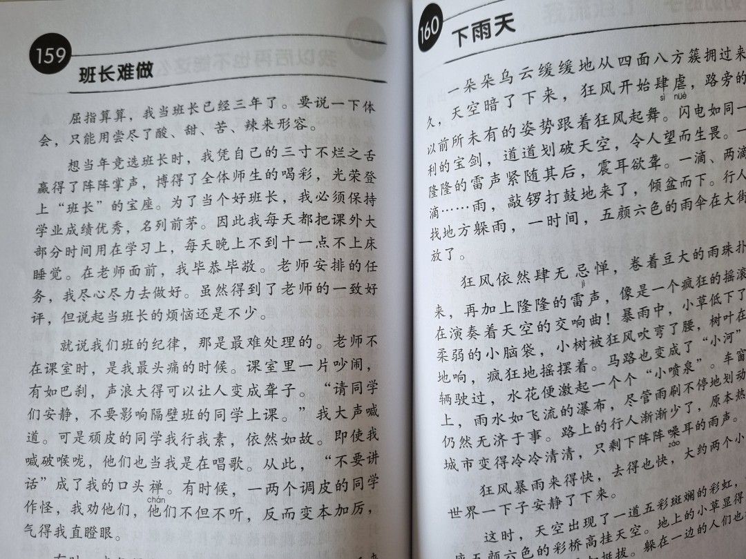 Chinese P5&P6 Model Composition Guide Book, Hobbies & Toys, Books ...