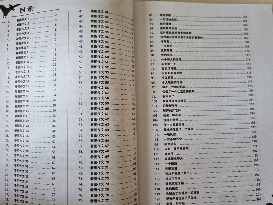 Chinese P5&P6 Model Composition Guide Book, Hobbies & Toys, Books ...