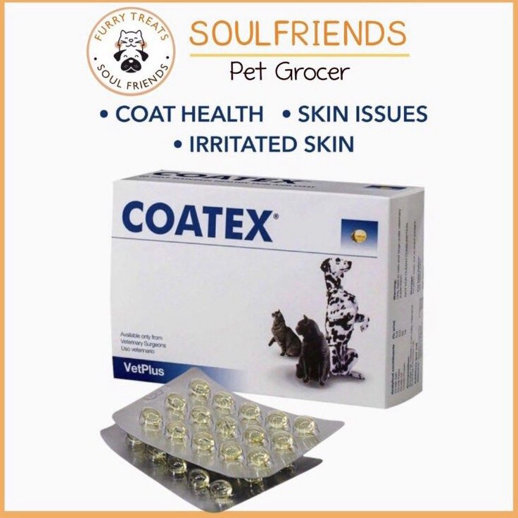 Coatex Vetplus for Healthy skin hair for dog and cats, Pet Supplies ...