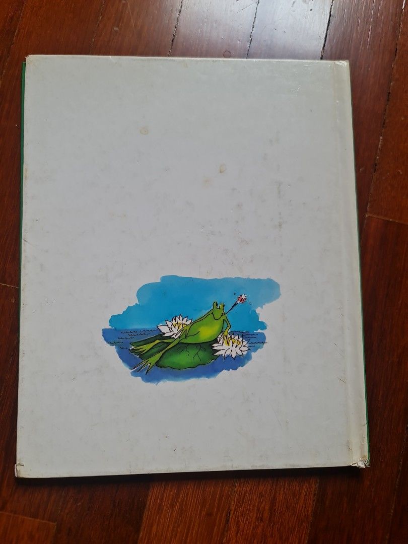 Emily and the Enchanted Frog Story Book, Hobbies & Toys, Books ...