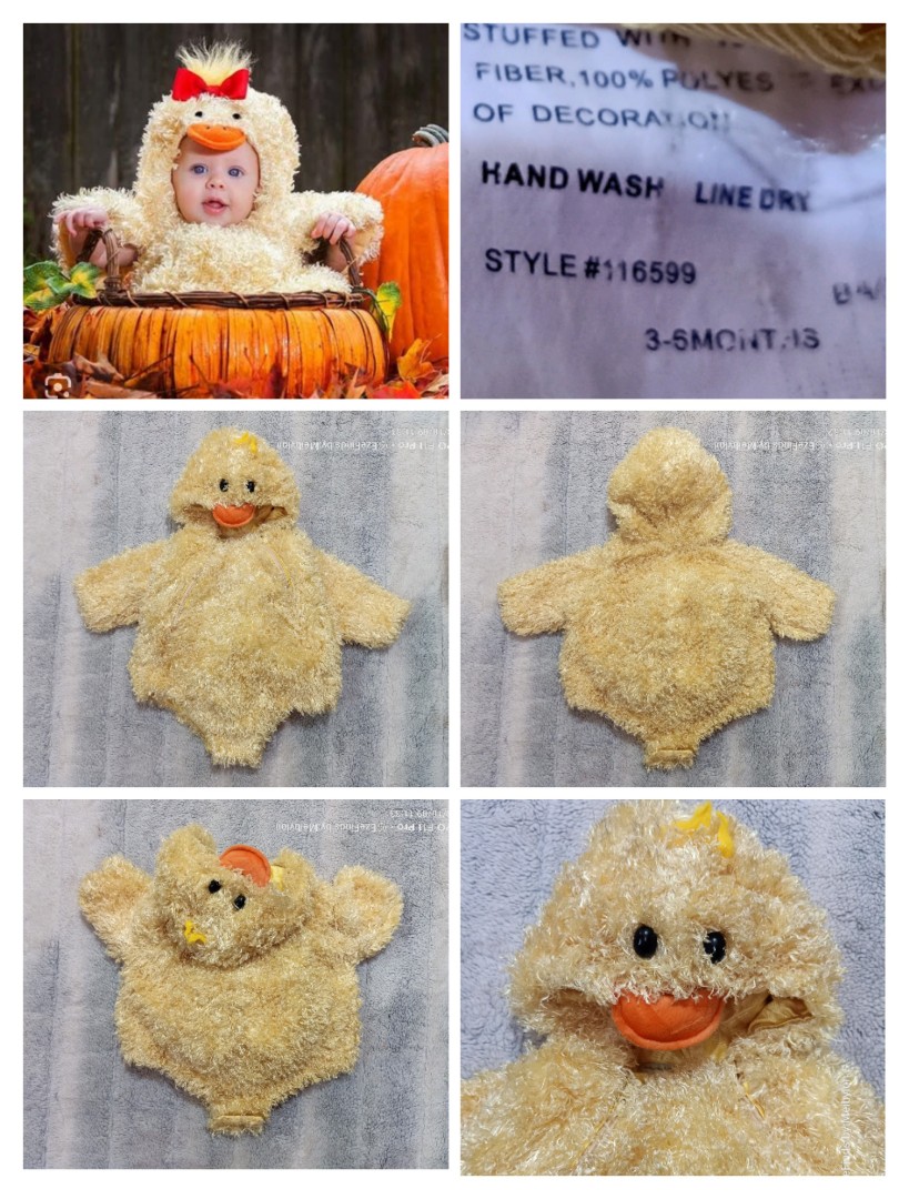 EZEFINDS Furry Chick | Chicken | Duck | Duckling Milestone Costume ...