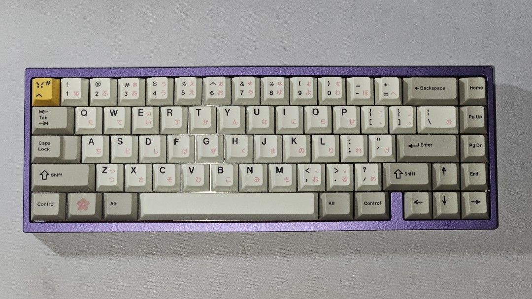Hammerworks CRP R5 Keycaps - JiPink Alphas + 60s Mods kit, Computers ...