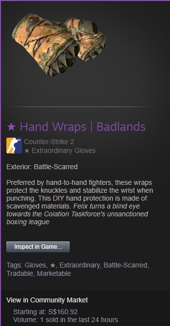 Hand Wraps | Badlands CS2, Video Gaming, Gaming Accessories, In-Game ...