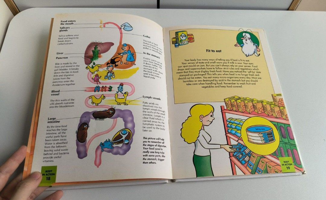 Hardcover How my Body works Digestion With Colorful illustrations Orbis ...