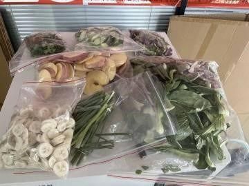 HDF-06 FREEZE - DRIED MACHINE (M2), Furniture & Home Living, Home ...