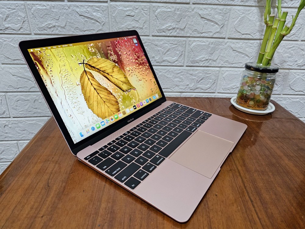 MacBook Air Retina 12 inch laptop 2017 Intel Core m3 1.2 Ghz 8Gb 256Gb ...