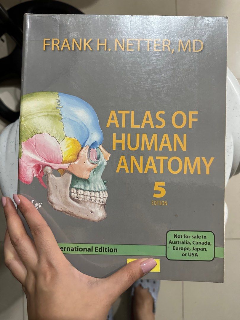 Netter Atlas of Human Anatomy, Hobbies & Toys, Books & Magazines ...