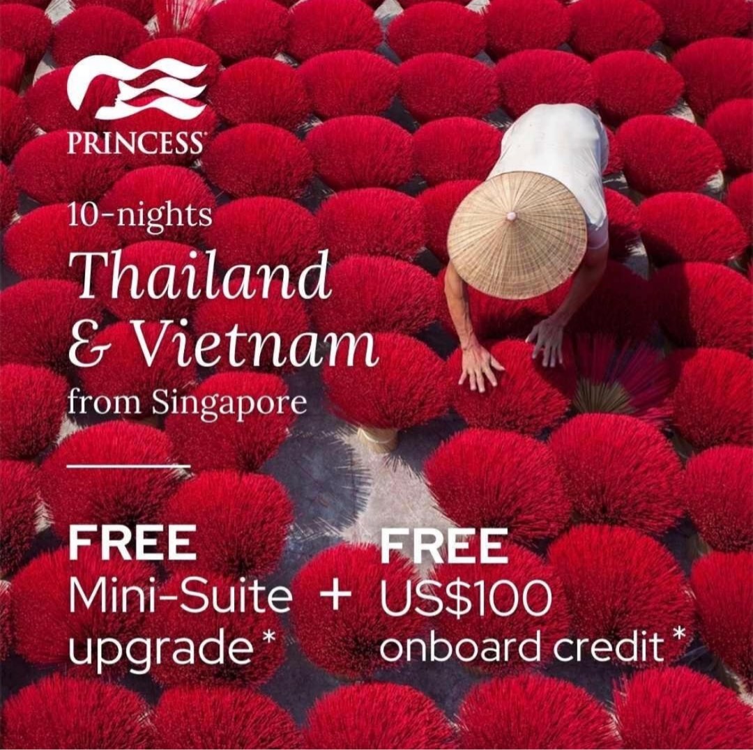 Princess Cruise Promotion, Men's Fashion, Bags, Belt bags, Clutches and ...
