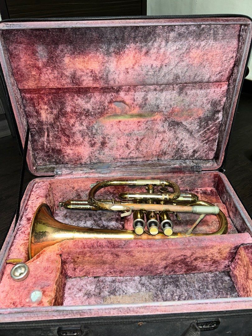 Cornet - Trumpet, Hobbies & Toys, Music & Media, Musical Instruments on ...