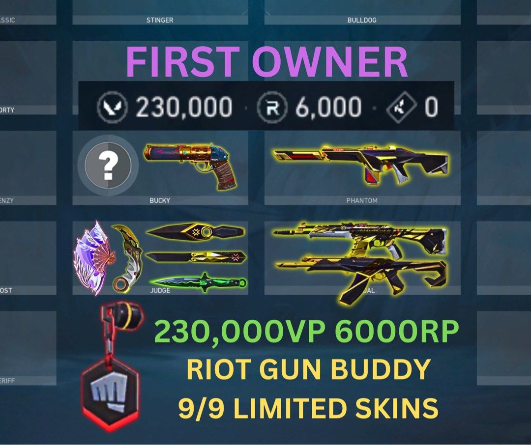 230,000VP + RIOT GUN BUDDY + ALL 9 LIMITED SKINS VCT CHAMPIONS 2021 ...