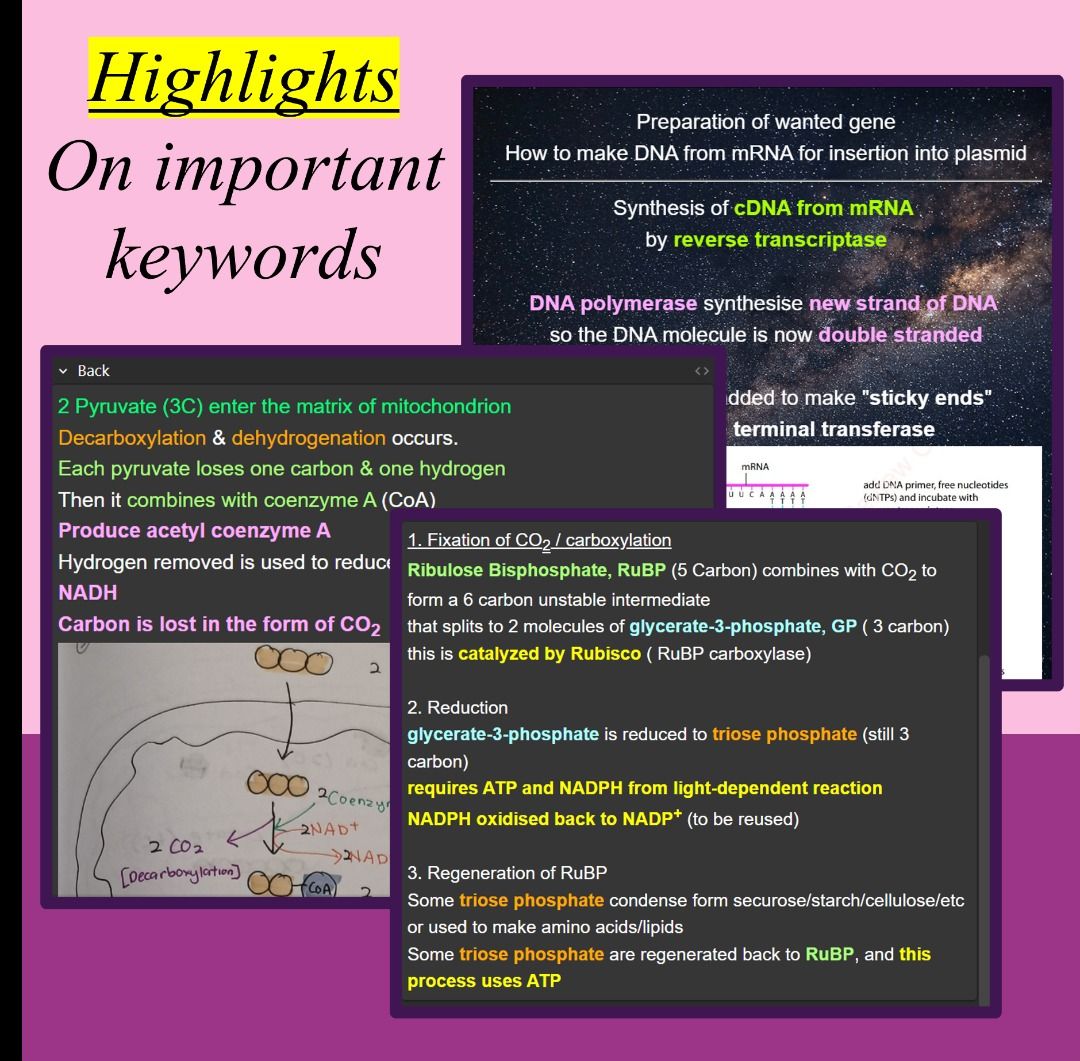 A Level Biology Flashcards Anki on Carousell