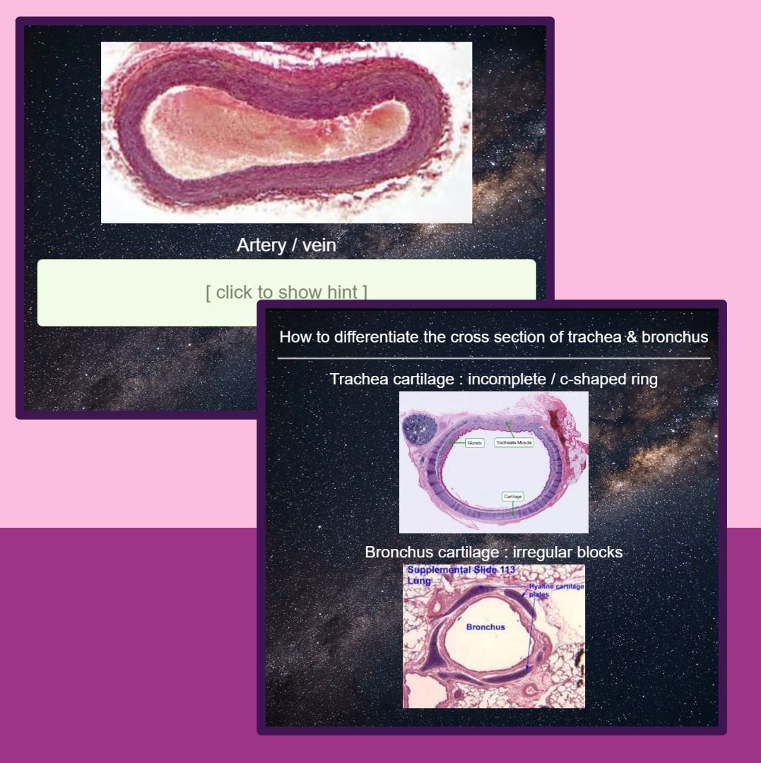 A Level Biology Flashcards Anki On Carousell