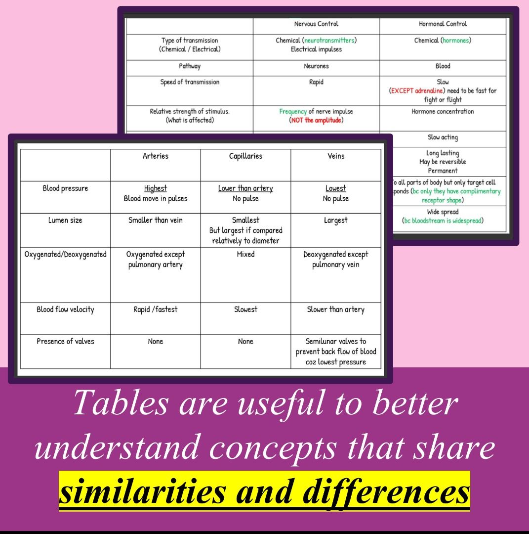 A Level Biology Flashcards Anki on Carousell