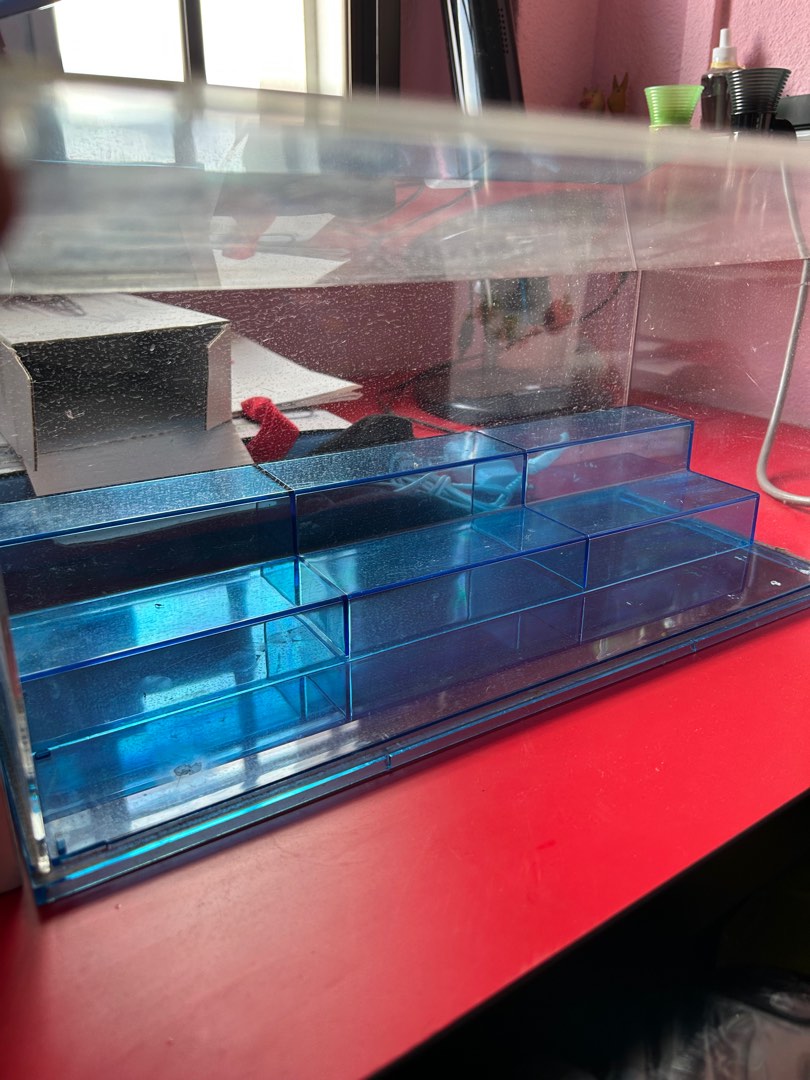 Box for miniatures collection, Furniture & Home Living, Home ...